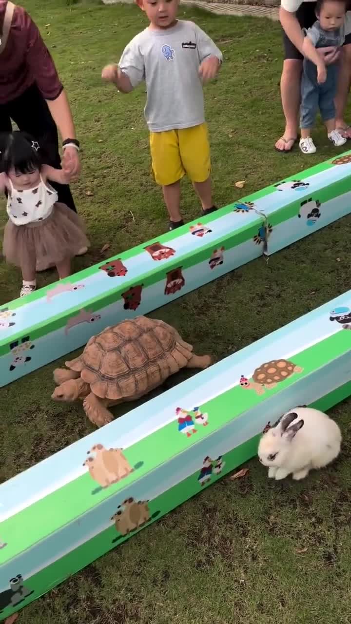 Watch FA48121E2106DF66E3BEA0E402BBF593_video_dashinit | Streamable