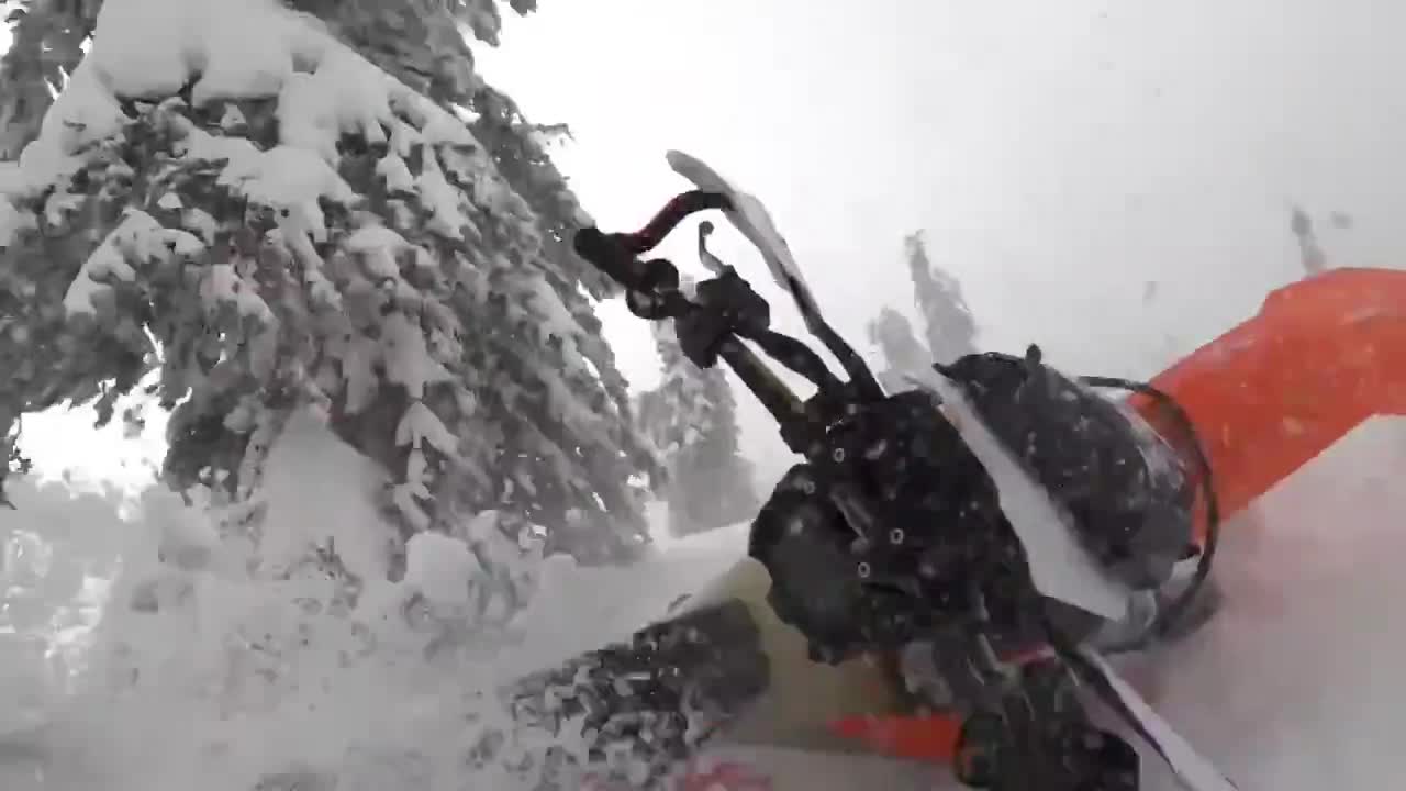 ProHo wipes out