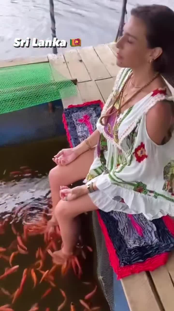 8047B5484CDBB94BF89864D657C06195_video_dashinit