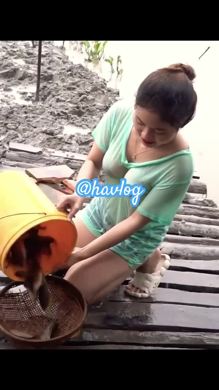 Watch Catching fish #havlog #short | Streamable