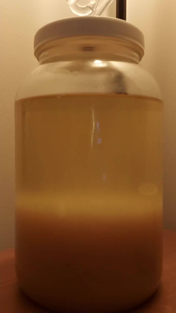 bentonite fining time-lapse of mead
