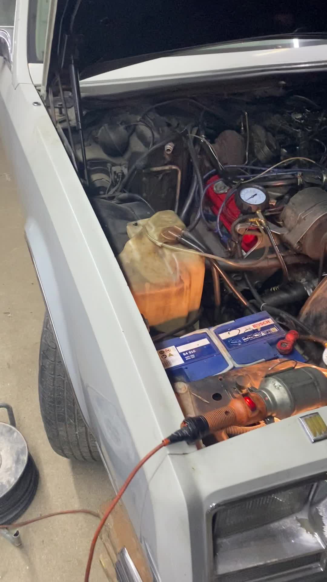 Watch IMG_5359 | Streamable