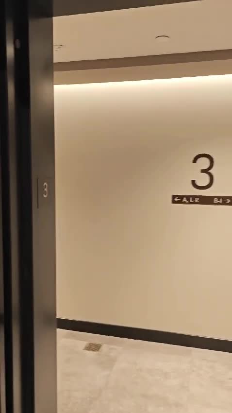 Watch Elevator | Streamable