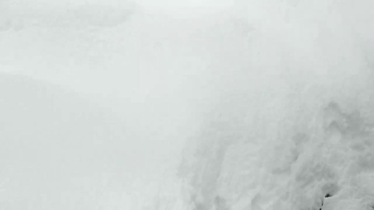 Streamer captures tree falling in the woods.