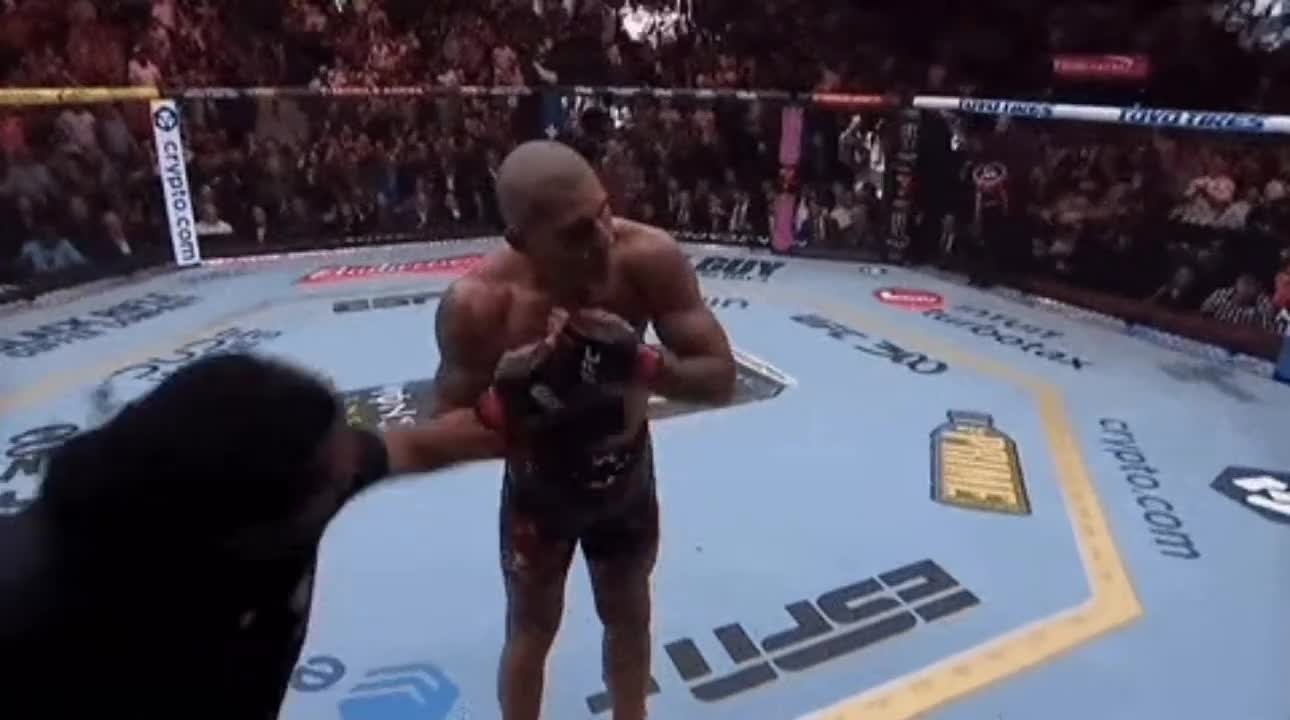 Watch DEV.Woulf's Video - Mar 8, 2025-VEED (online-video-cutter.com) | Streamable