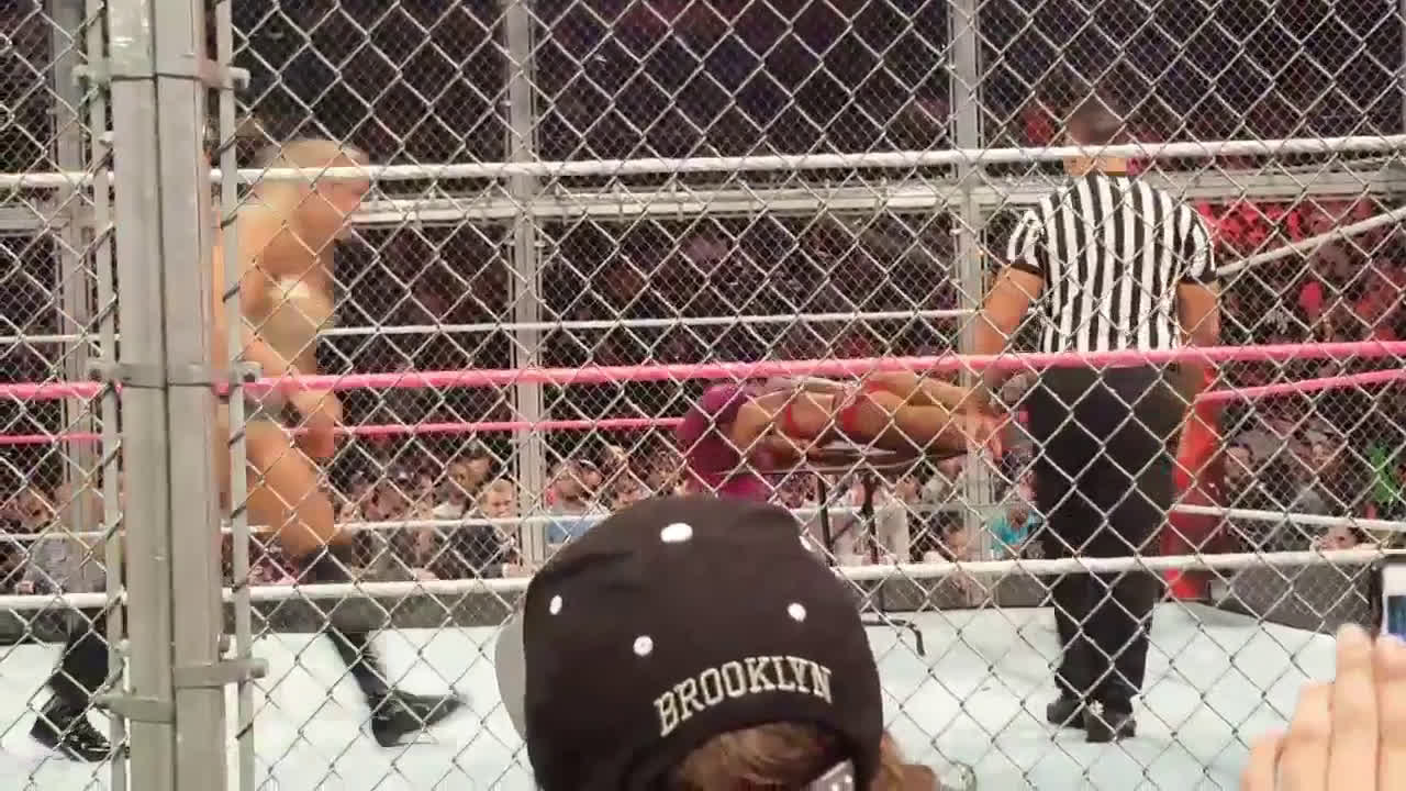 Watch Sasha Banks Wedgie at Hell in a Cell 2016 - Very Slow Motion (Fan Cam) | Streamable