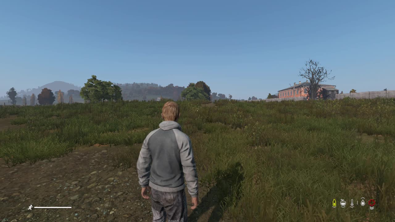 DayZ