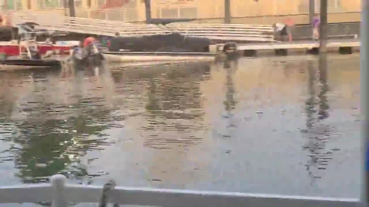 Watch montgomery riverfront brawl (part 1 - context) - Xpost from ...