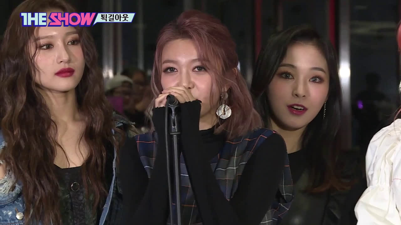 DM Language Master (181002 TS)