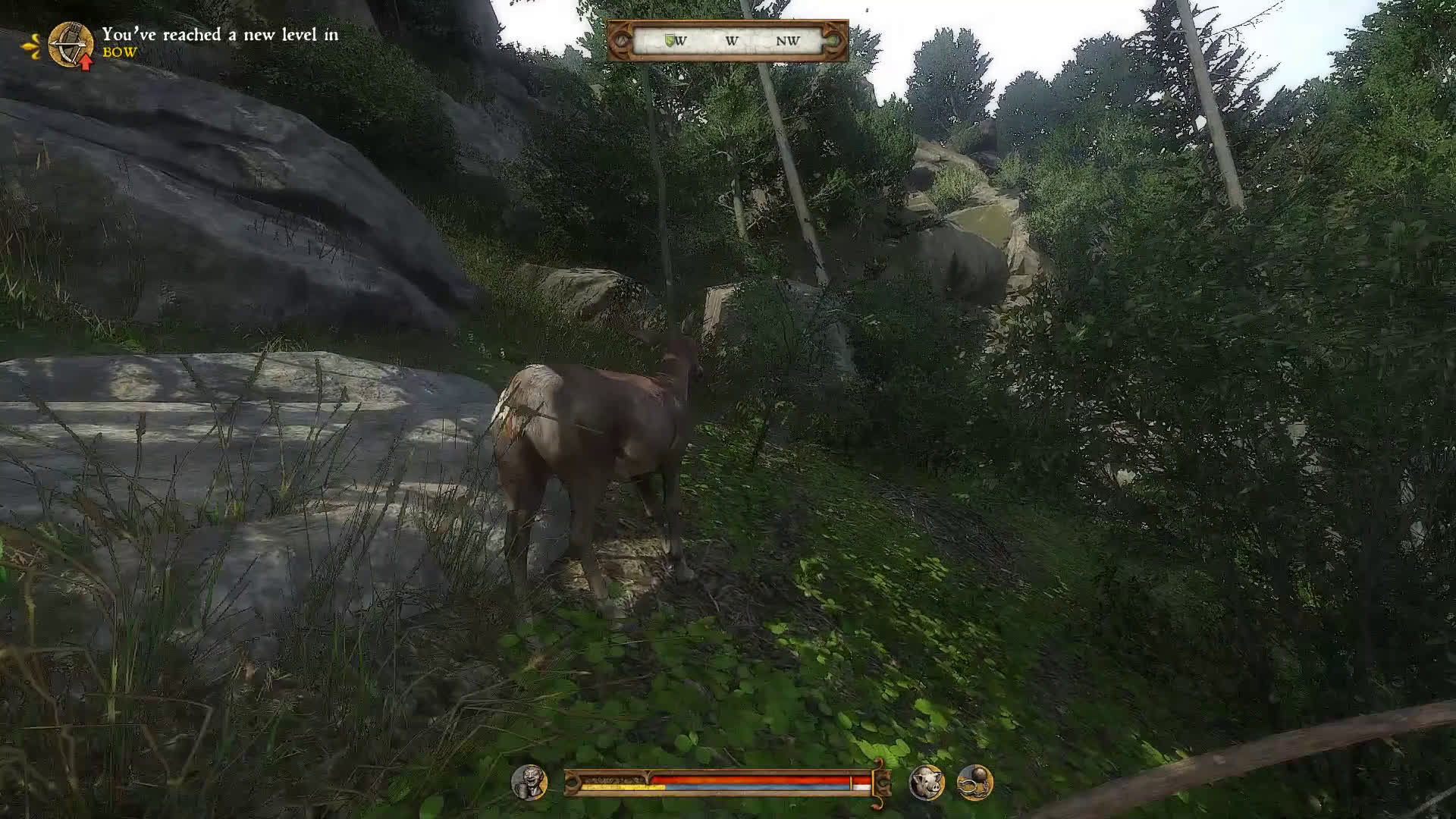 First hunting experience