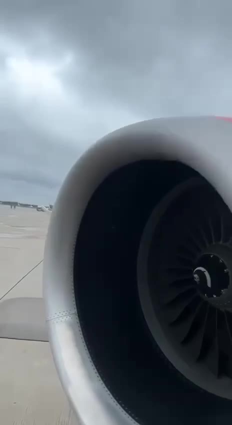 Watch IMG_7086 | Streamable