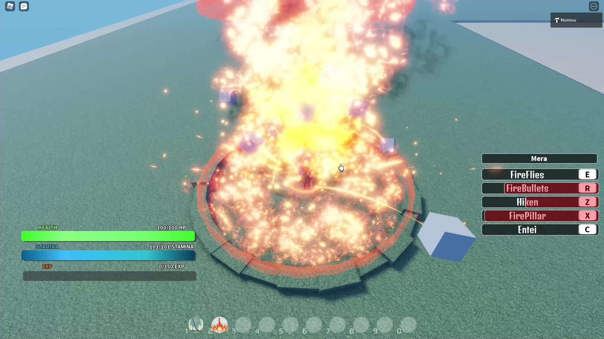 Pirates Dream Mera Showcase InGame!!