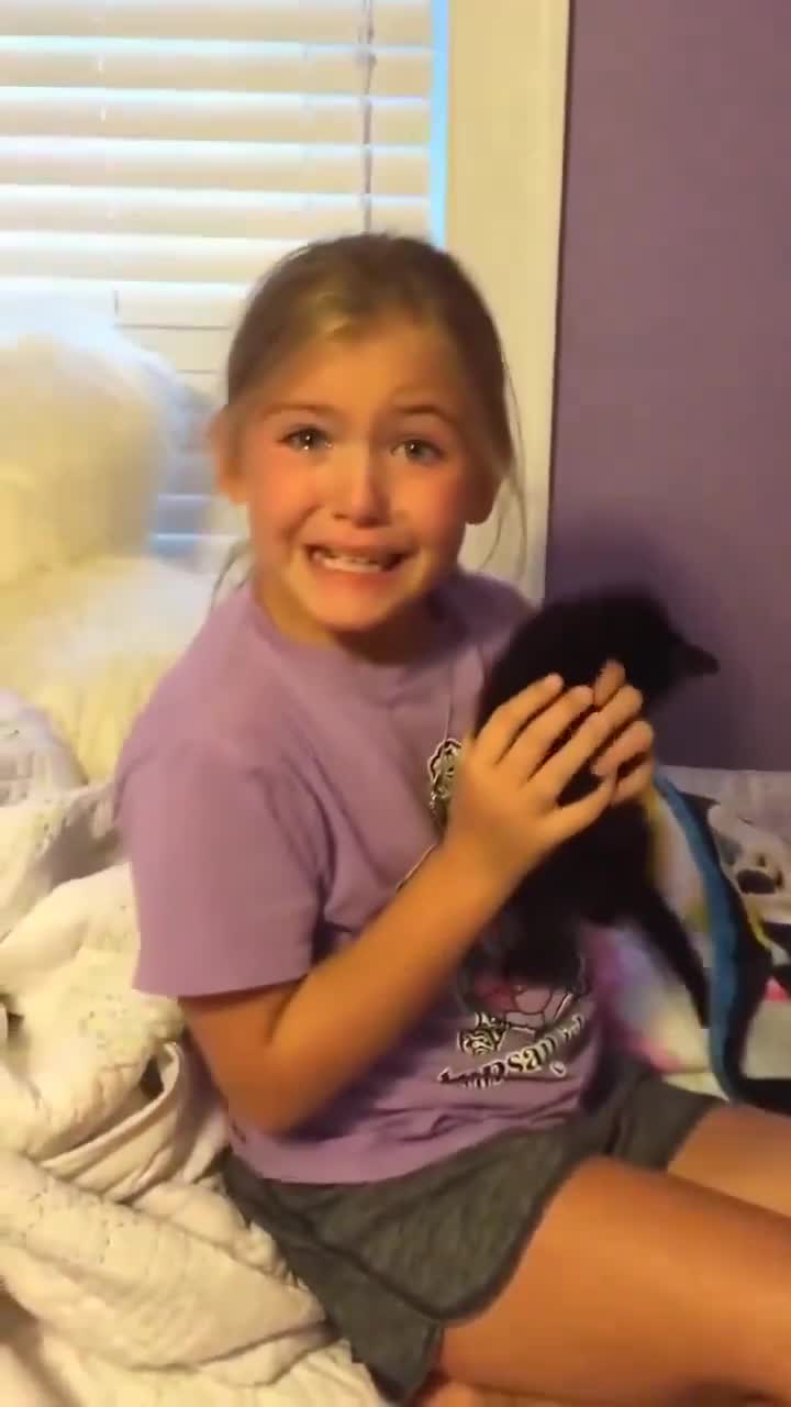 Watch girl | Streamable