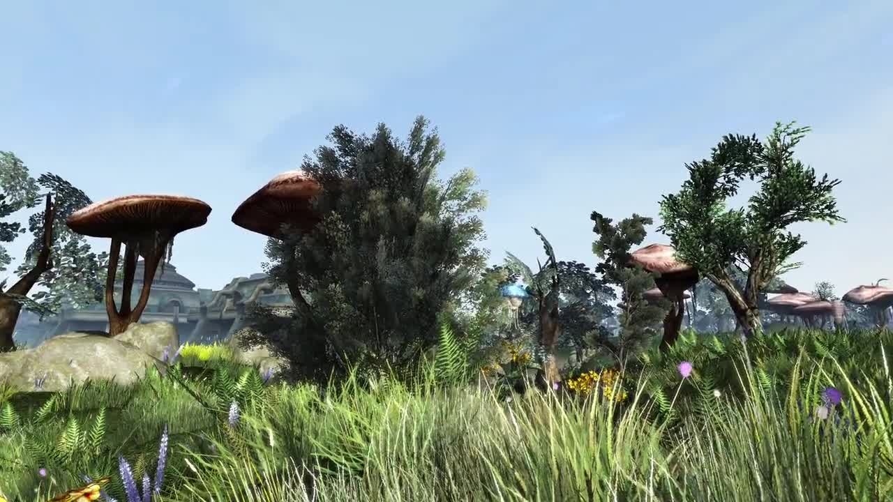 Watch Steadicam Showcase | Streamable