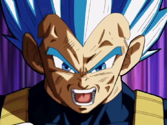 Stupid God form Vegeta