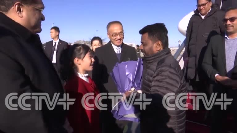 Watch 8412041_PREVIEW_20250114115518265 | Streamable