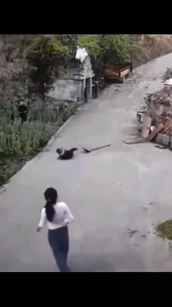 Watch Dead Guy Hub - https://t.co/qupRiFVU5z | Streamable