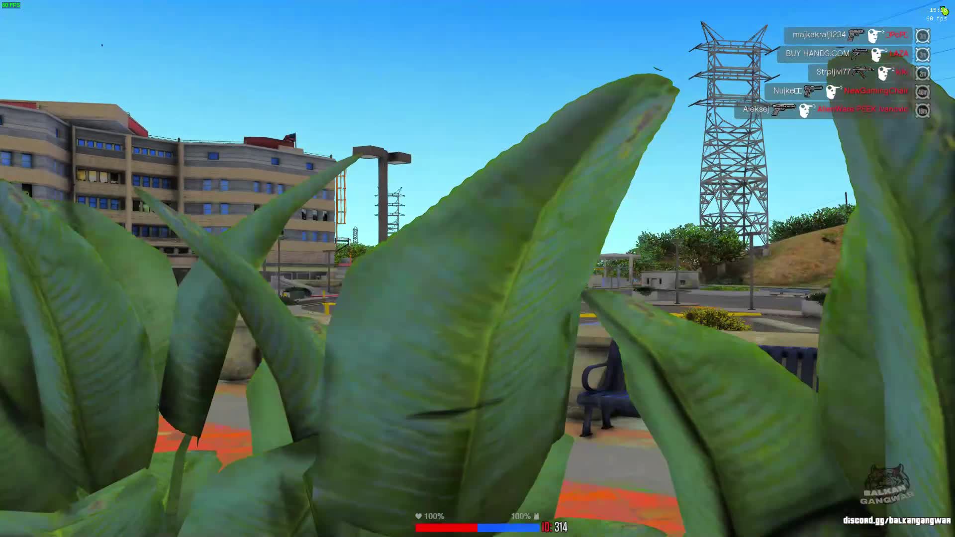 steva citizen preview