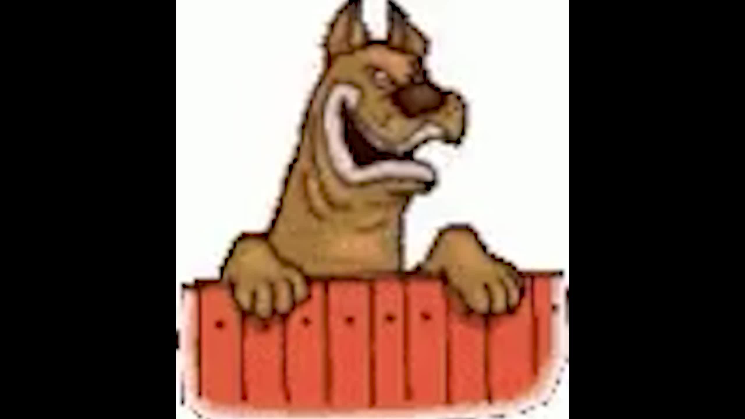 anghel rares gabriel geanina