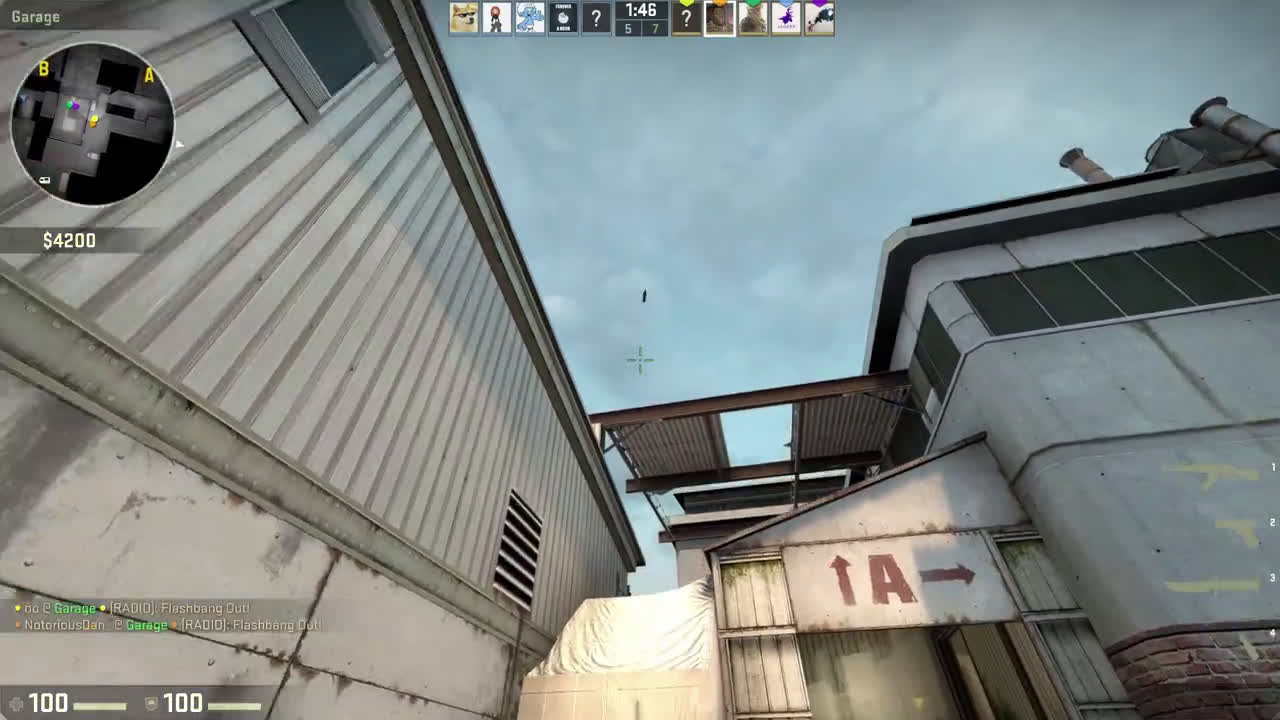 CS:GO Flashbang Pro