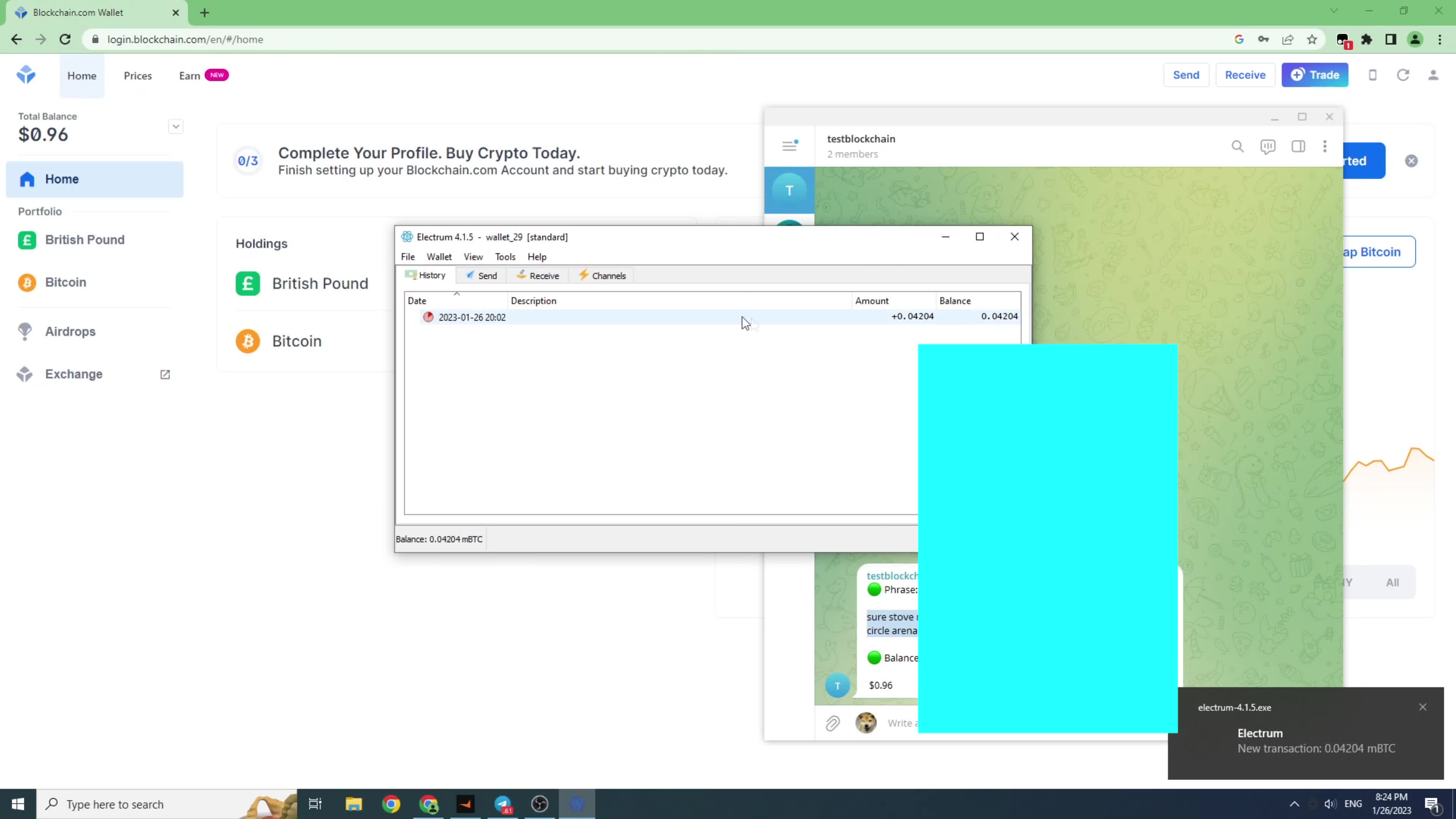 blockchain seed stealer