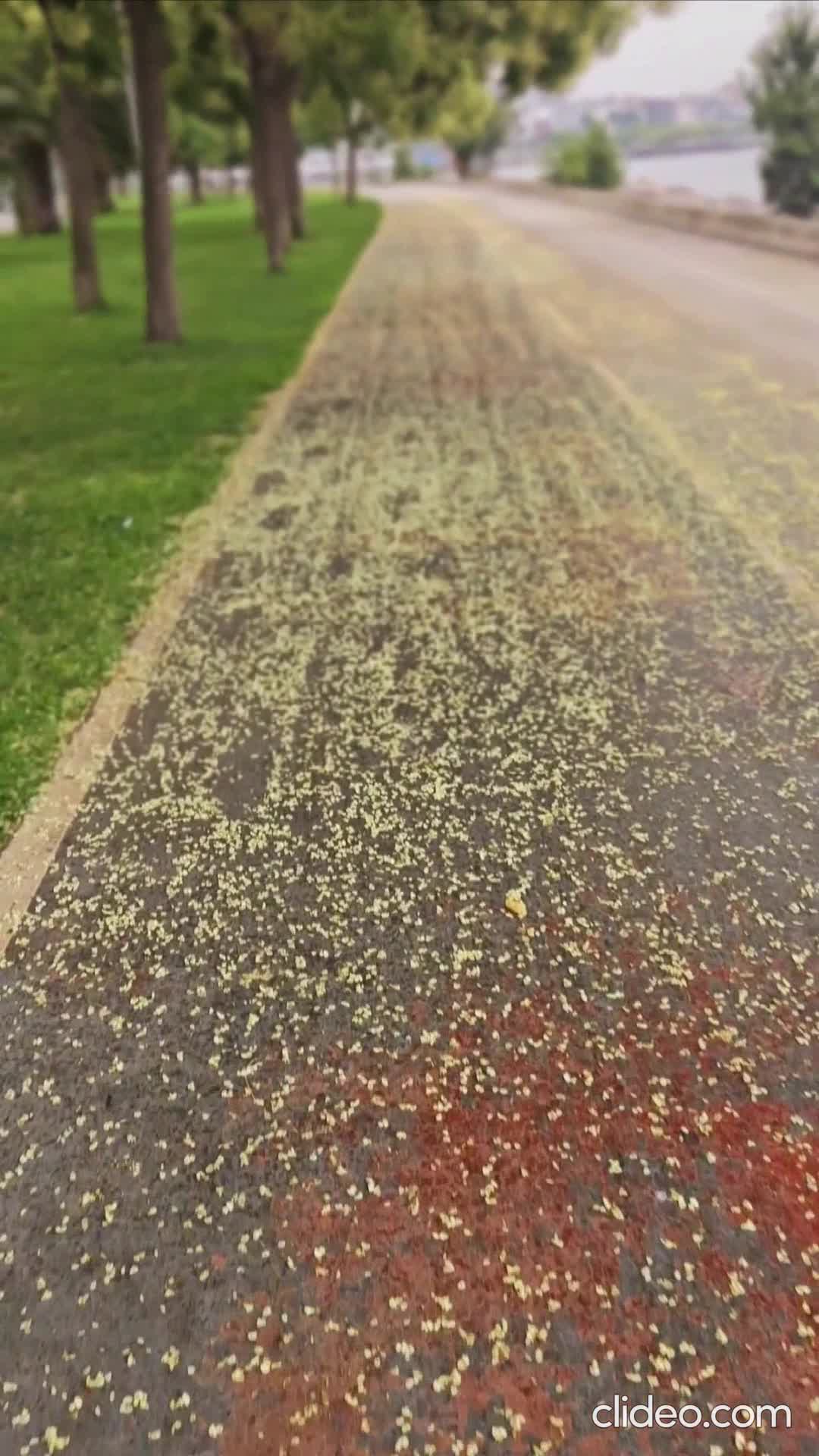 Watch unnamed | Streamable