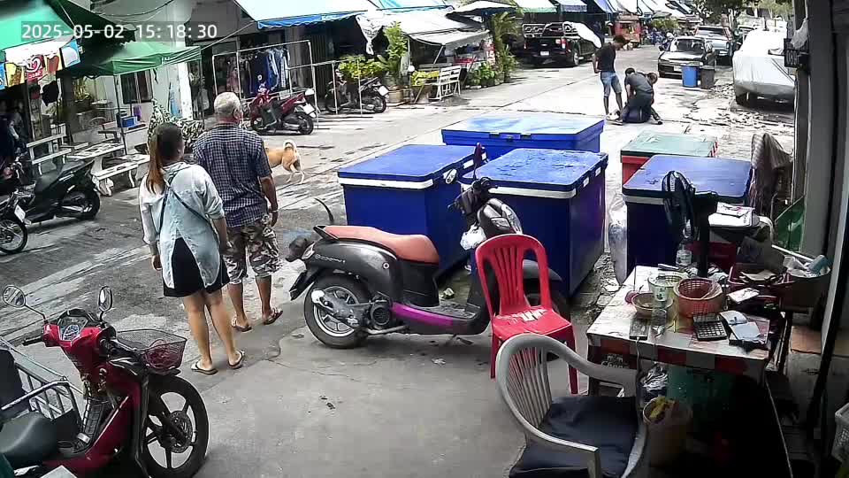 Watch 11F207F1FE1F6B951BCFE5C59BC8DD2D6B904DD7 | Streamable