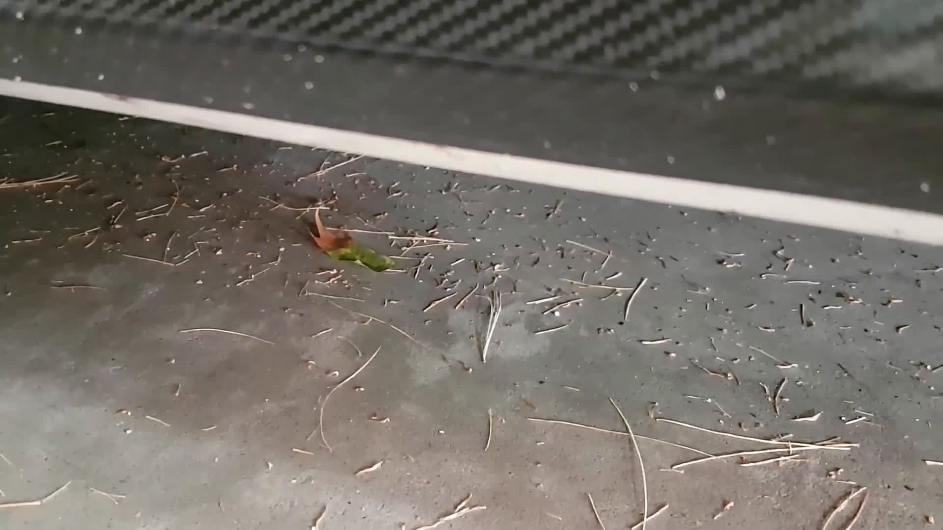 Watch m157_ticking | Streamable