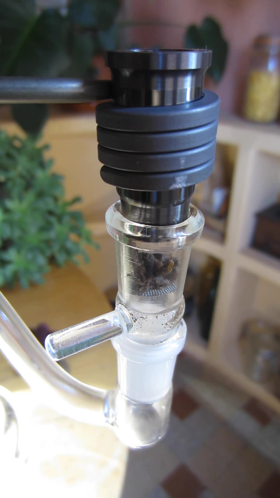 ZX Zirconia Ceramic Heater, with classic hash in American Glass Chamber ...