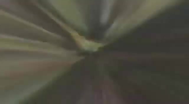 Hyperborea schizo edit