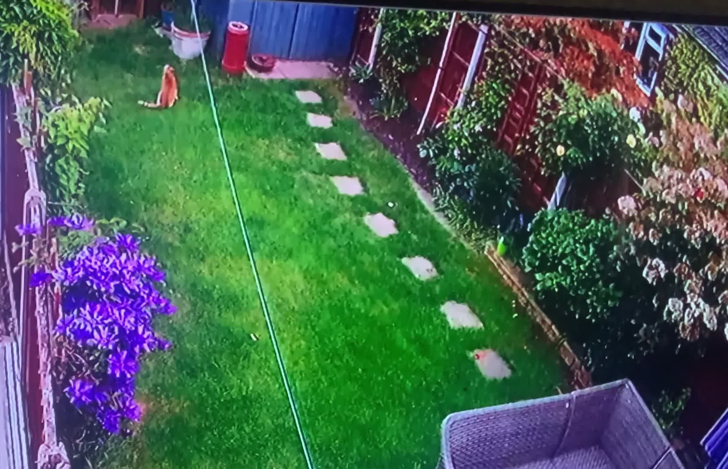 Watch IMG_7655 | Streamable