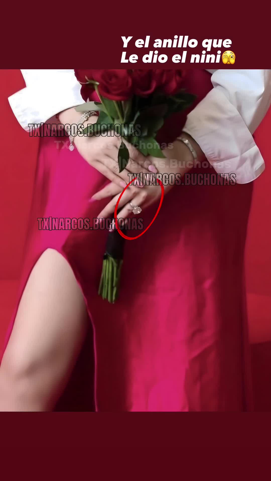 Watch IMG_2513 | Streamable