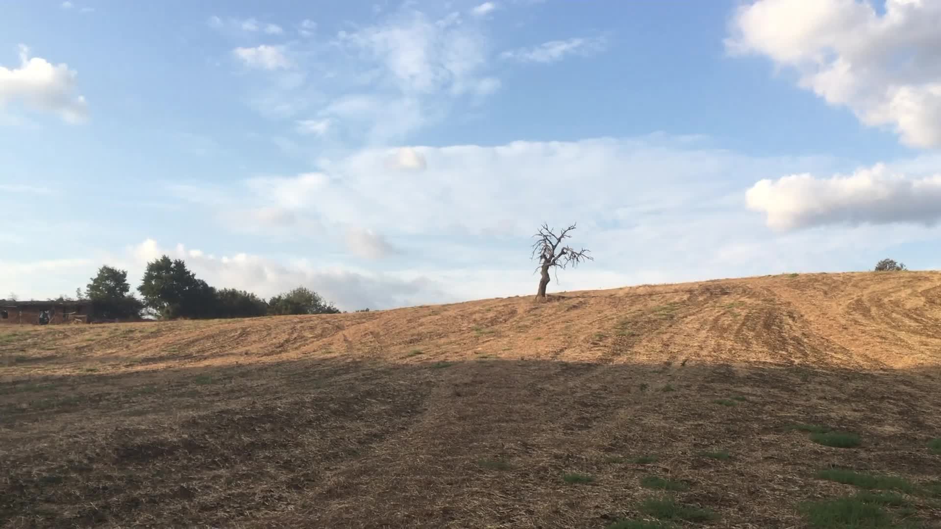 Watch tarla 2 | Streamable