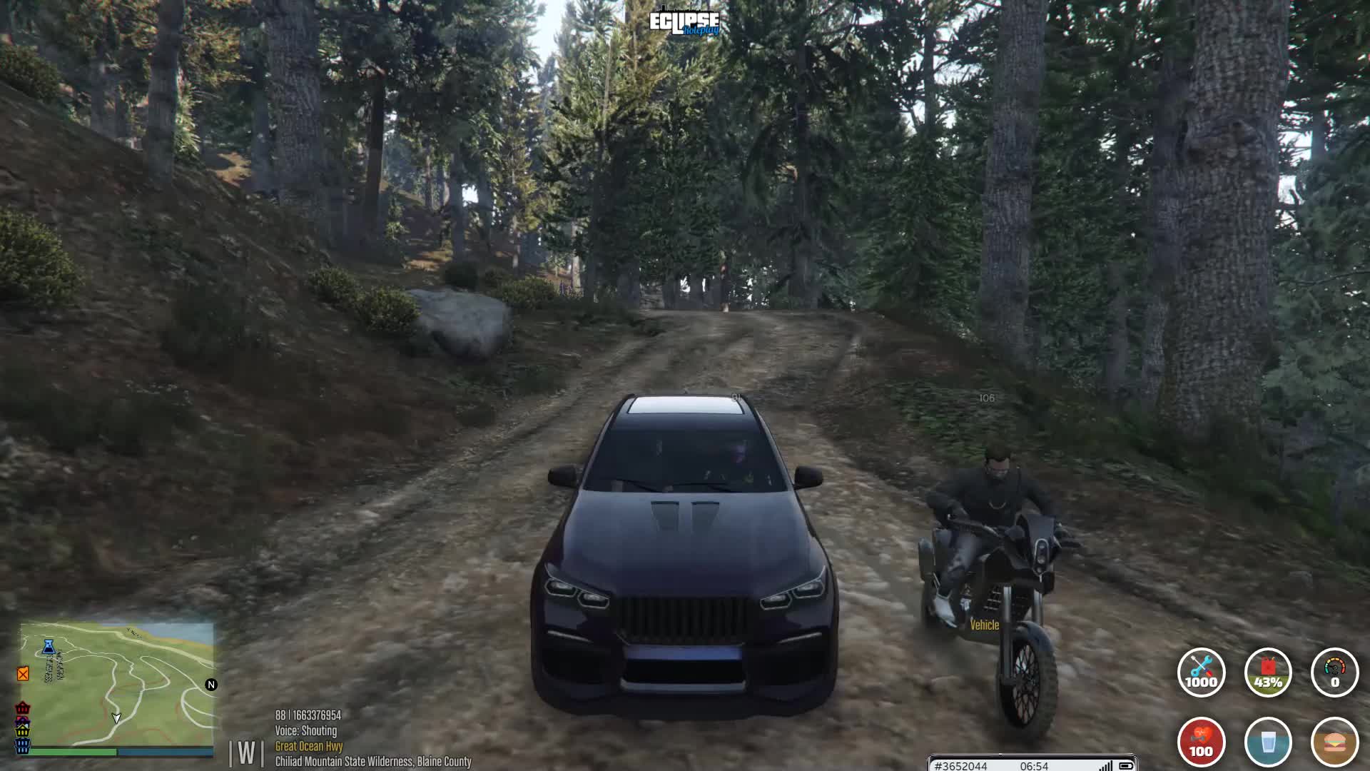 1st chase - Rooks chase us for no reason