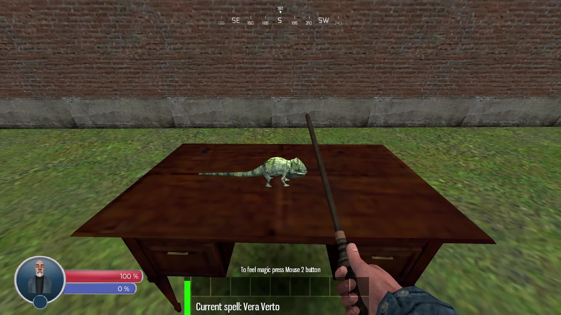 vera_verto_harrypotter