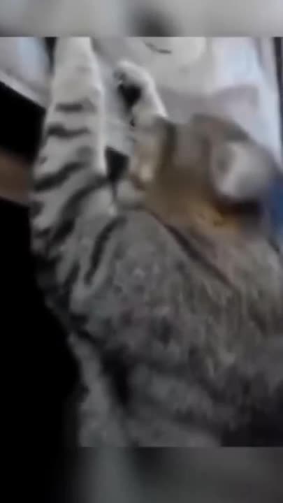 Watch 2022-10-08_21-18-45 | Streamable