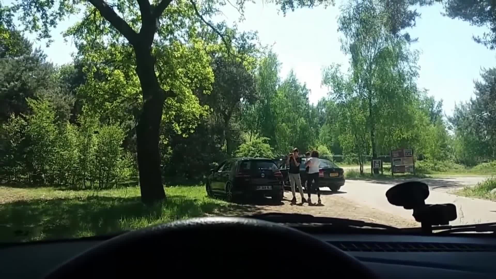 rapidsave.com_french_family_strolling_around_dutch_safari_park ...