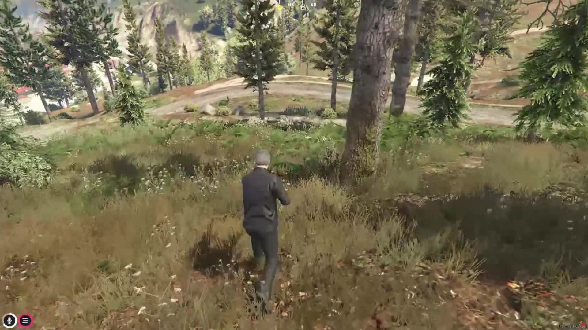 SW-Hunting - Hunting/Skinning Animals