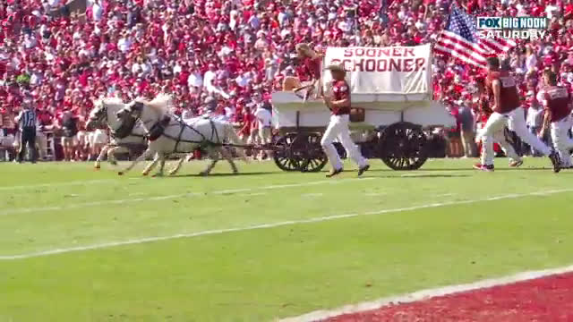 Sooner Schooner Crash