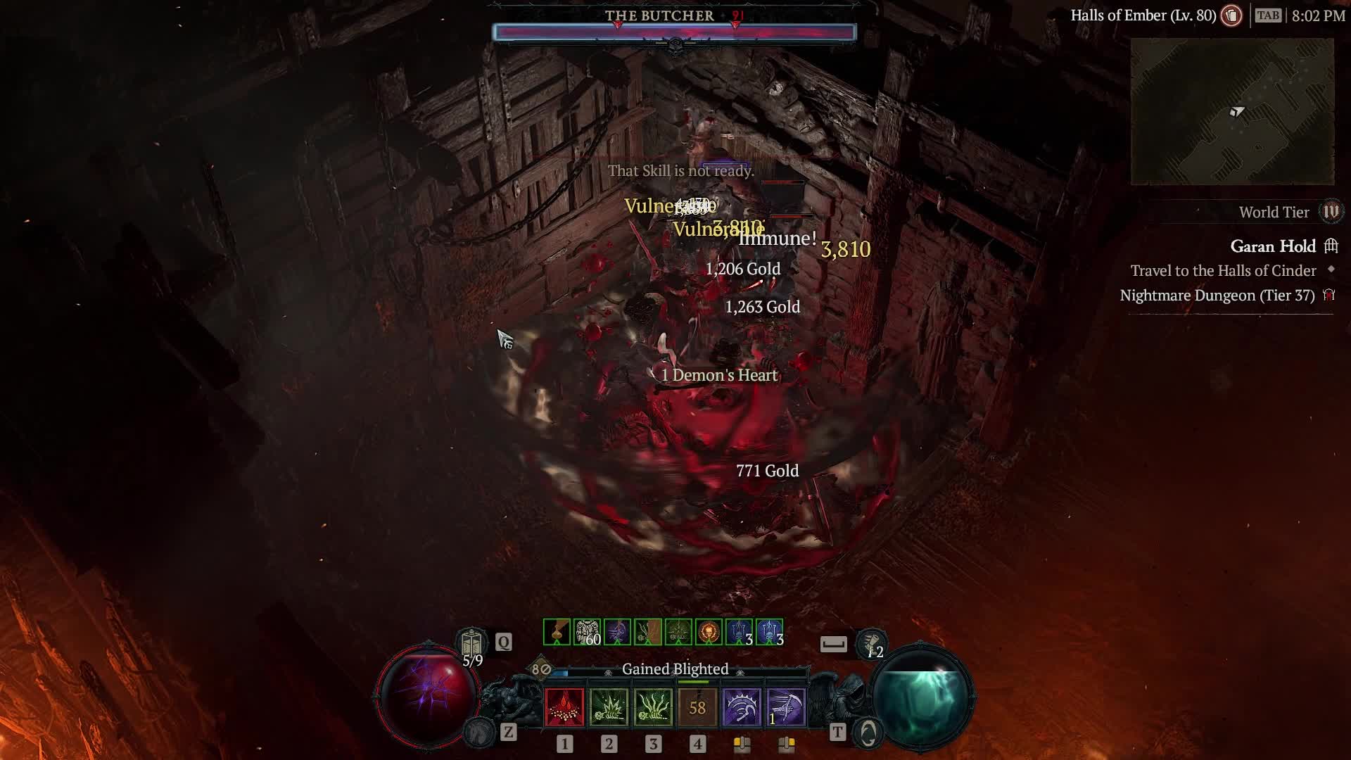 D4 - Sever Necro vs Butcher