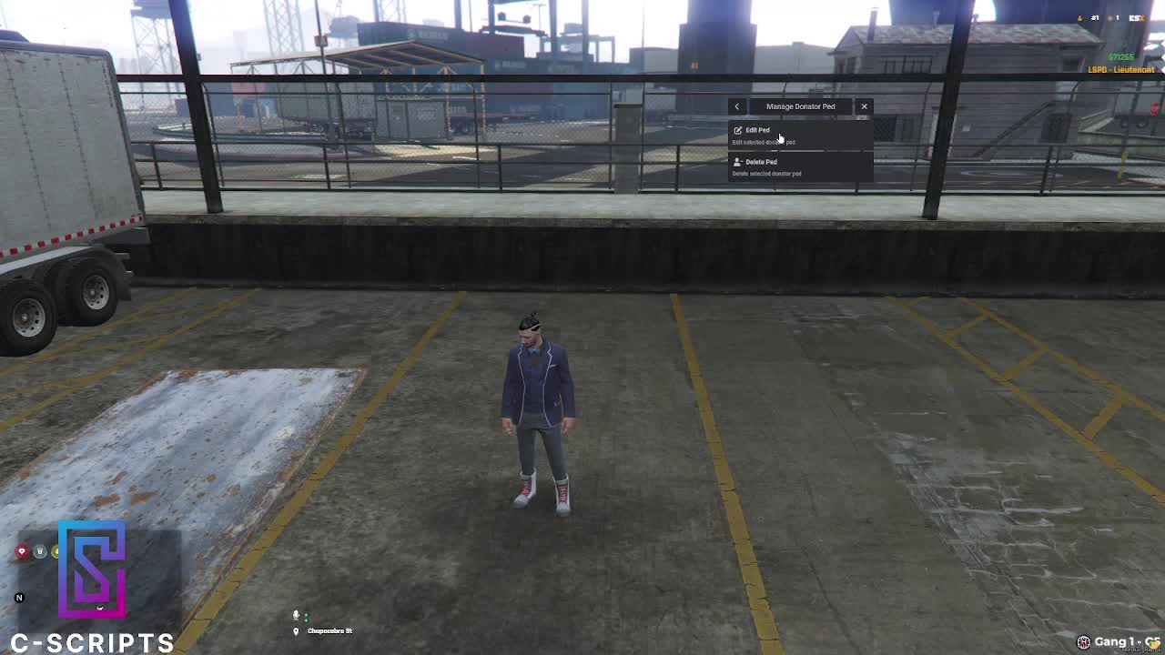 Watch cfx-cs-donator-ped | Streamable