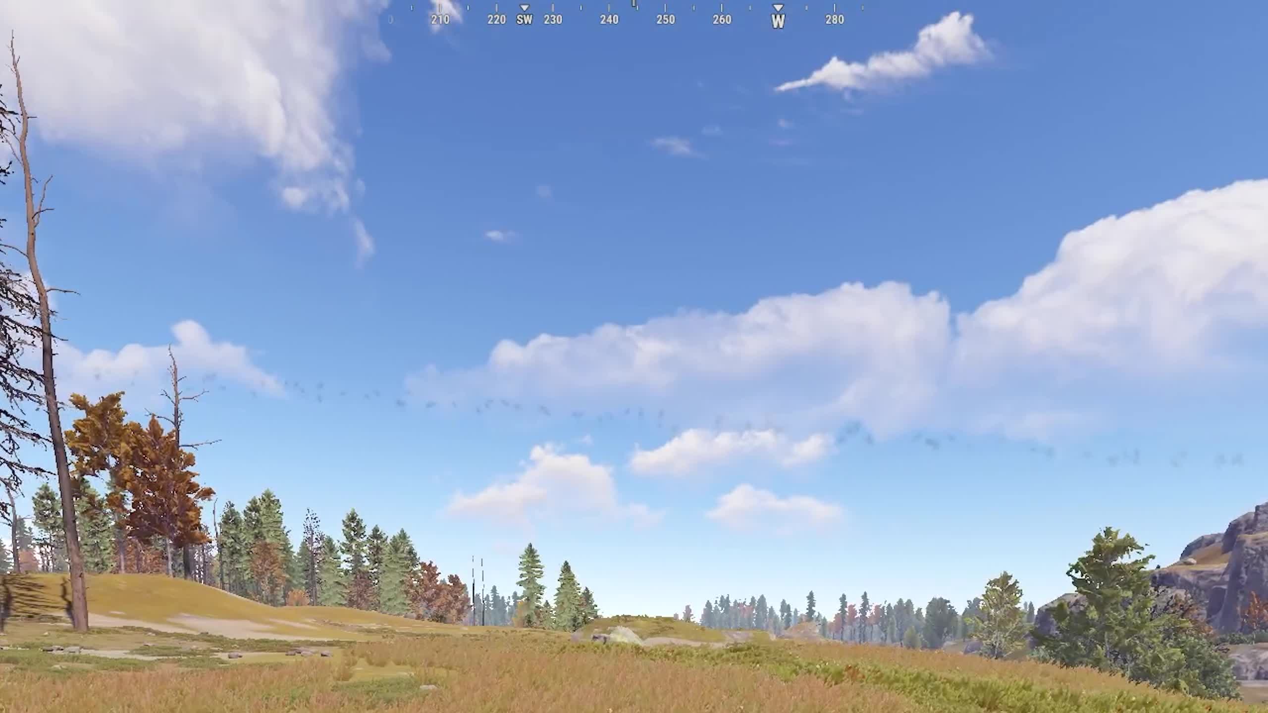 Random-Smoke-Trail