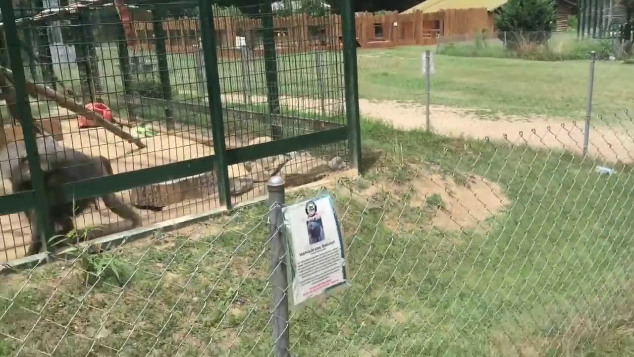 Please do not taunt the animals when visiting the zoo