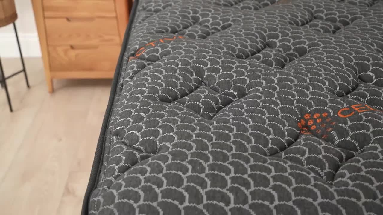 Watch Irish legacy vigour | Streamable