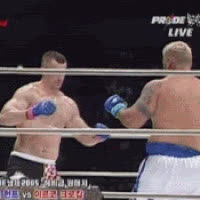 Mark Hunt eats an Axe Kick from Cro Cop and stays on his feet.