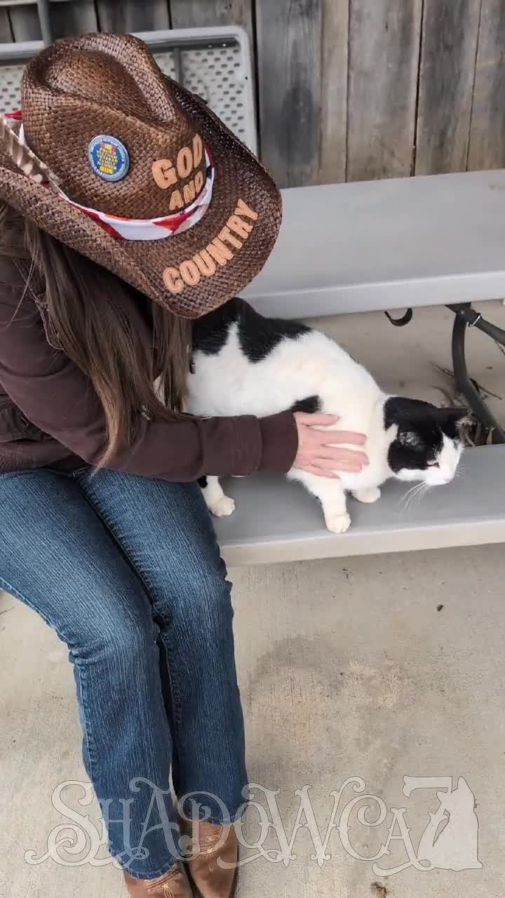 Watch 2. Arrington Kitty Cat SHaDoWCa7 03-19-2025 | Streamable