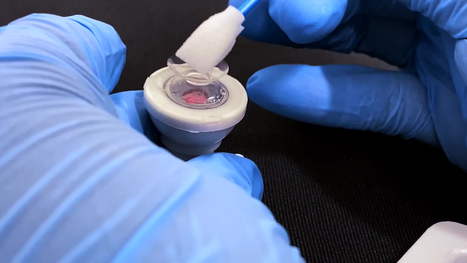 Watch SOFT SHIELD® Collagen Shield Full Demo | Streamable