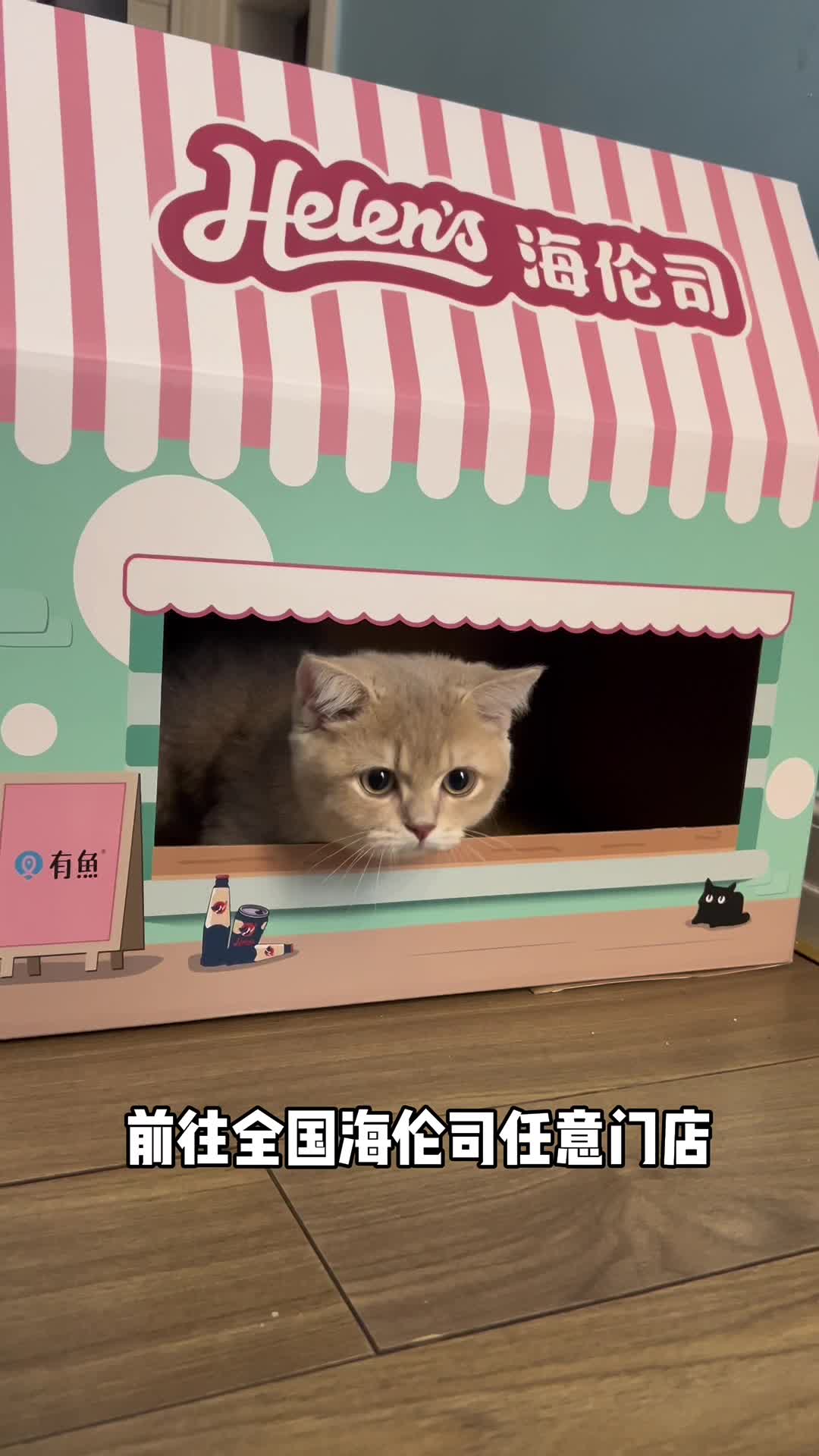 douyin-7263782484721110307-dy-video-godownloader.com