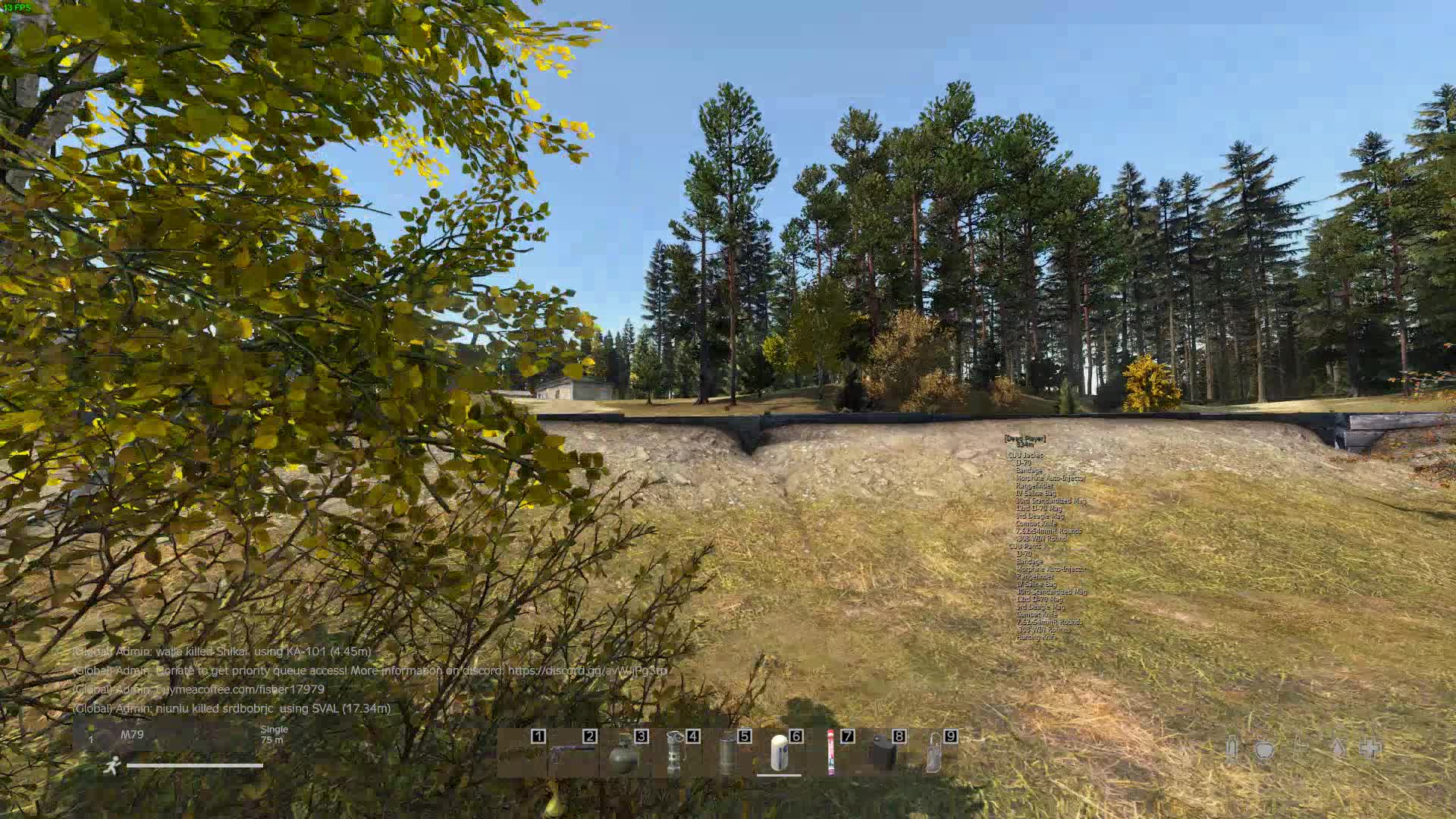 Watch dayz_Je8Mu15eU8 | Streamable