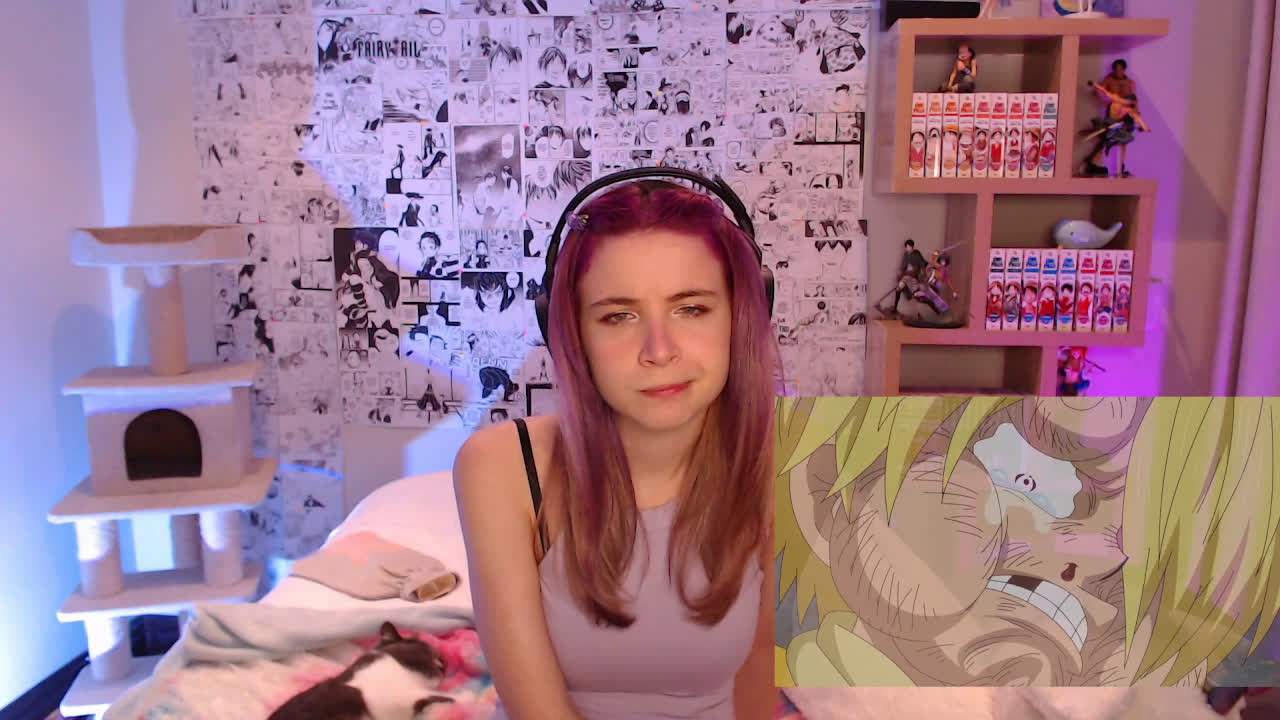 Watch OP 793 794 | Streamable